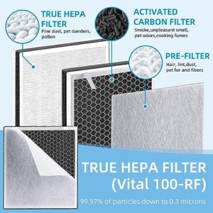 2 Pack Vital 100 Replacement Filter Compatible with LEV.OIT Vital 100, H13 True HEPA High-Efficiency Activated Carbon Vital 100 Filter,Part # Vital 100-RF