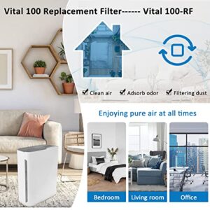 2 Pack Vital 100 Replacement Filter Compatible with LEV.OIT Vital 100, H13 True HEPA High-Efficiency Activated Carbon Vital 100 Filter,Part # Vital 100-RF