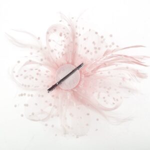 DRESHOW Fascinators Hat Flower Mesh Ribbons Feathers on a Headband and a Clip Tea Party Headwear for Girls and Women