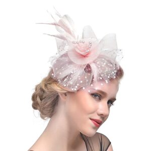 DRESHOW Fascinators Hat Flower Mesh Ribbons Feathers on a Headband and a Clip Tea Party Headwear for Girls and Women