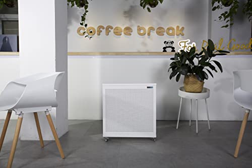 Smart Air Blast Mini MKII Air Purifier (Blast Mini with HEPA filter)