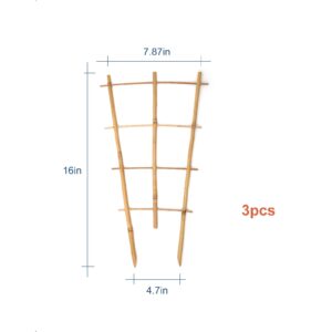 COLOtime 3Pack Bamboo Trellis 16 Inch Fan Shaped Small Plant Trellis for Indoor Potted Plants Climbing Monstera Orchid Vine Hoya Houseplant