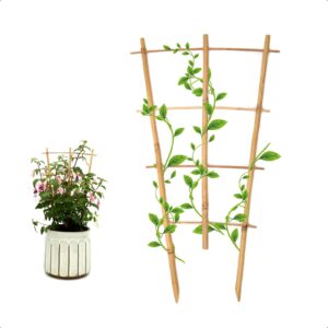 colotime 3pack bamboo trellis 16 inch fan shaped small plant trellis for indoor potted plants climbing monstera orchid vine hoya houseplant