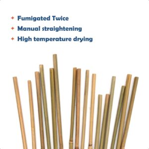 COLOtime Bamboo Stakes 4FT Garden Stakes Plant Stakes for Indoor and Outdoor Climbing Plants Poles Sticks Support Tomatoes Eggplants Beans 25 Pack