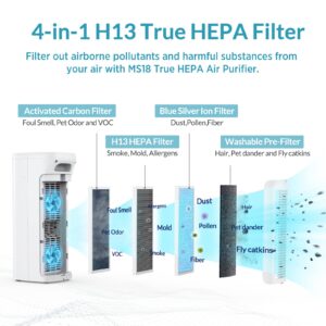 Genuine Membrane Solutions MS18 Original Air Purifier Filter Replacement, Upgraded 4-in-1 True HEPA Filter with OdallerPure Technology (1 Pack)