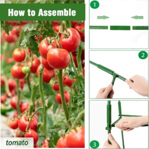 4ft 3-Pack Tomato Cage for Garden Plant Cages, Up to 48inch Plant Supports Tomato Trellis Stakes for Potted Plants, Heavy Duty Tomato Cages Cucumber Trellis for Garden Vertical Climbing Plants Flowers