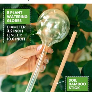 GARDENBRO 8 pc Plant Watering Globes Large Plastic - Automatic Plant Waterer Set Include Plant Accessories for Indoor and Outdoor Pots - Set of 8