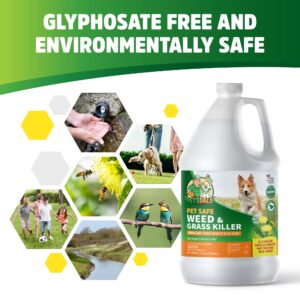 Pet's Pal Natural Weed Killer | Pet Safe Spray | Ready-to-use Natural Herbicide | Environmentally Safe | Bee Safe | Glyphosate Free | Safe for Kids (1 Gallon)