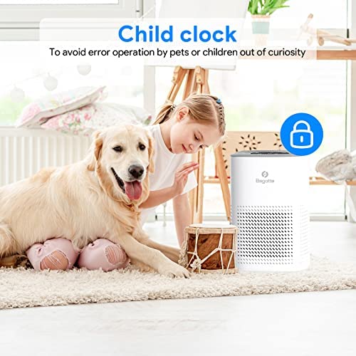 Air Purifier for Home Large Room,Bagotte True H13 HEPA Air Purifier Up to 880 Ft² in |3-Stage Filtration Air Cleaner|Remove 99.97% to 0.3mic|Ozone-Free