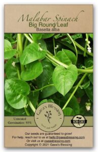 gaea's blessing seeds - malabar spinach seeds - non-gmo seeds with easy to follow planting instructions - heirloom big round leaf malabar - 93% germination rate