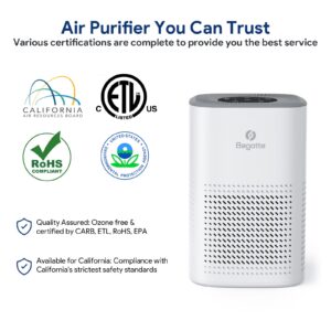 Air Purifier for Home Large Room,Bagotte True H13 HEPA Air Purifier Up to 880 Ft² in |3-Stage Filtration Air Cleaner|Remove 99.97% to 0.3mic|Ozone-Free