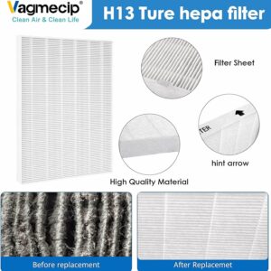 Vagmecip 115115 Size 21 Replacement Filter A Compatible with Winix C535, Winix PlasmaWave 5300, 6300, 5300-2, 6300-2, P300 Plasma wave Air Purifier, True HEPA Filter - 4 Pack