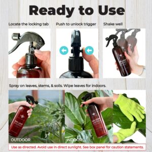 Big Leaf Energy : RTU Wellness Spray for Indoor Plants : Organic Neem Oil + Essential Oils (16OZ, Plastic Bottle)