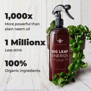 Big Leaf Energy : RTU Wellness Spray for Indoor Plants : Organic Neem Oil + Essential Oils (16OZ, Plastic Bottle)