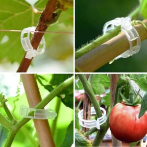 Tomato Clips, Plastic Trellis Clips, 100 Pcs Plant Support Clips, Grape Vine Tomato Vine, Garden Clips to Grow Upright Makes Plants Healthier for Tomato Cucumber Grape Vegetables Plants