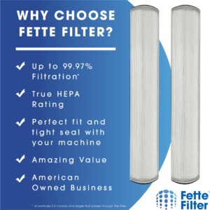 Fette Filter - Air Purifier True Hepa Filter Compatible with Envion Therapure TPP230 & TPP240 Compare to Part # TPP240F - Pack of 2