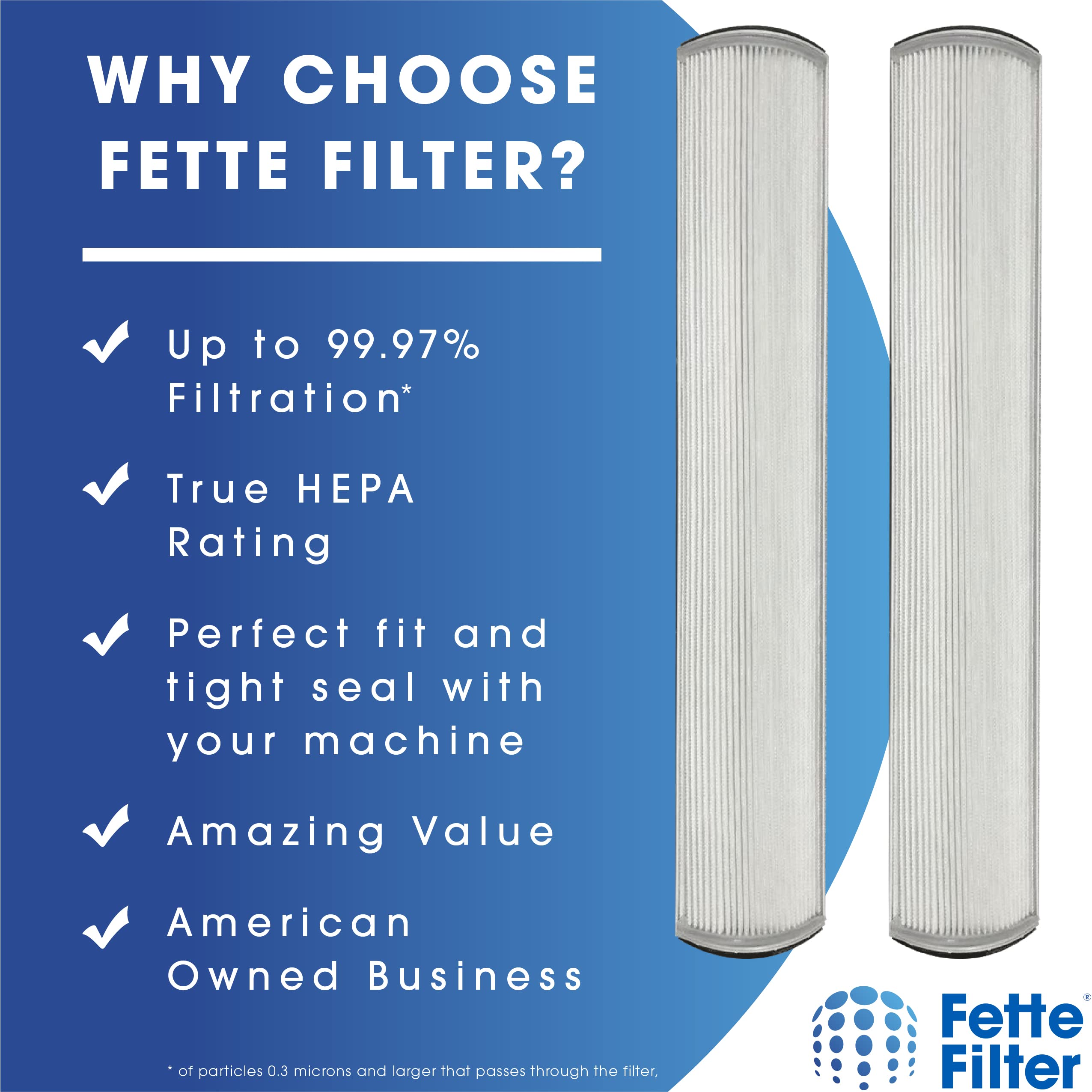 Fette Filter - Air Purifier True Hepa Filter Compatible with Envion Therapure TPP230 & TPP240 Compare to Part # TPP240F - Pack of 2