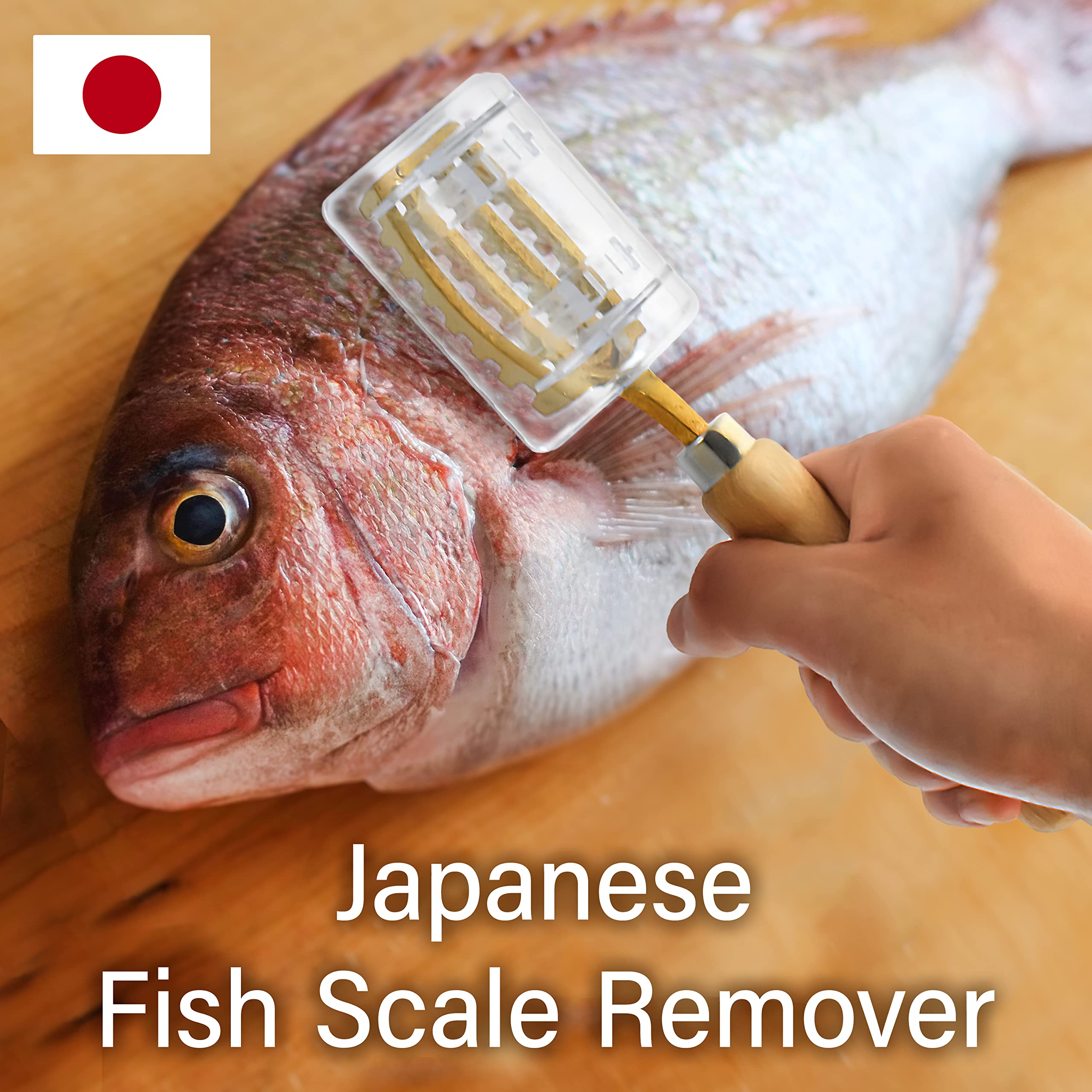 Fish Scale Remover with Box with Brass Serrated Sawtooth and Wooden Handles from Tsubame-Sanjo, Japan【Yamasan】