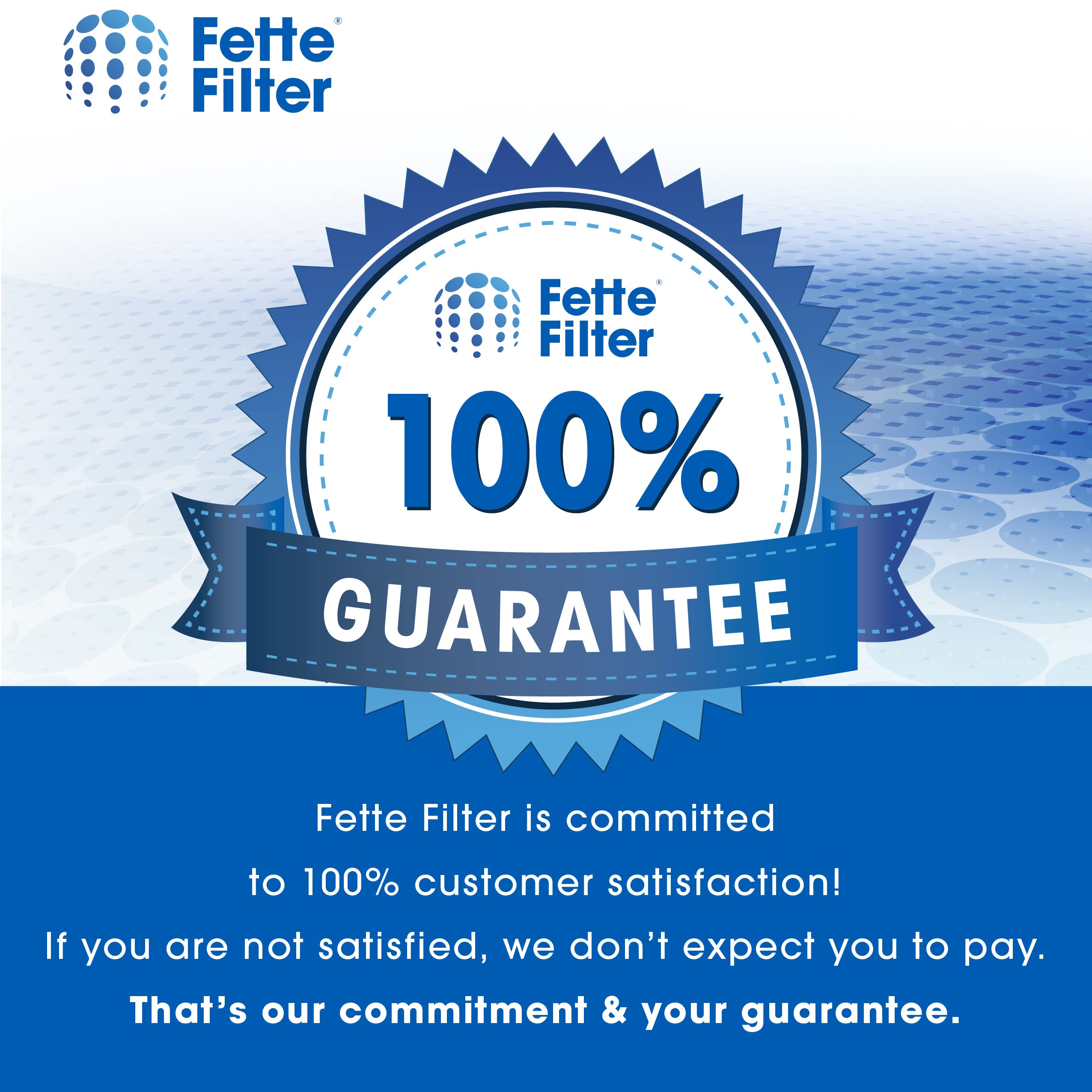 Fette Filter - Air Purifier True Hepa Filter Compatible with Envion Therapure TPP230 & TPP240 Compare to Part # TPP240F - Pack of 2