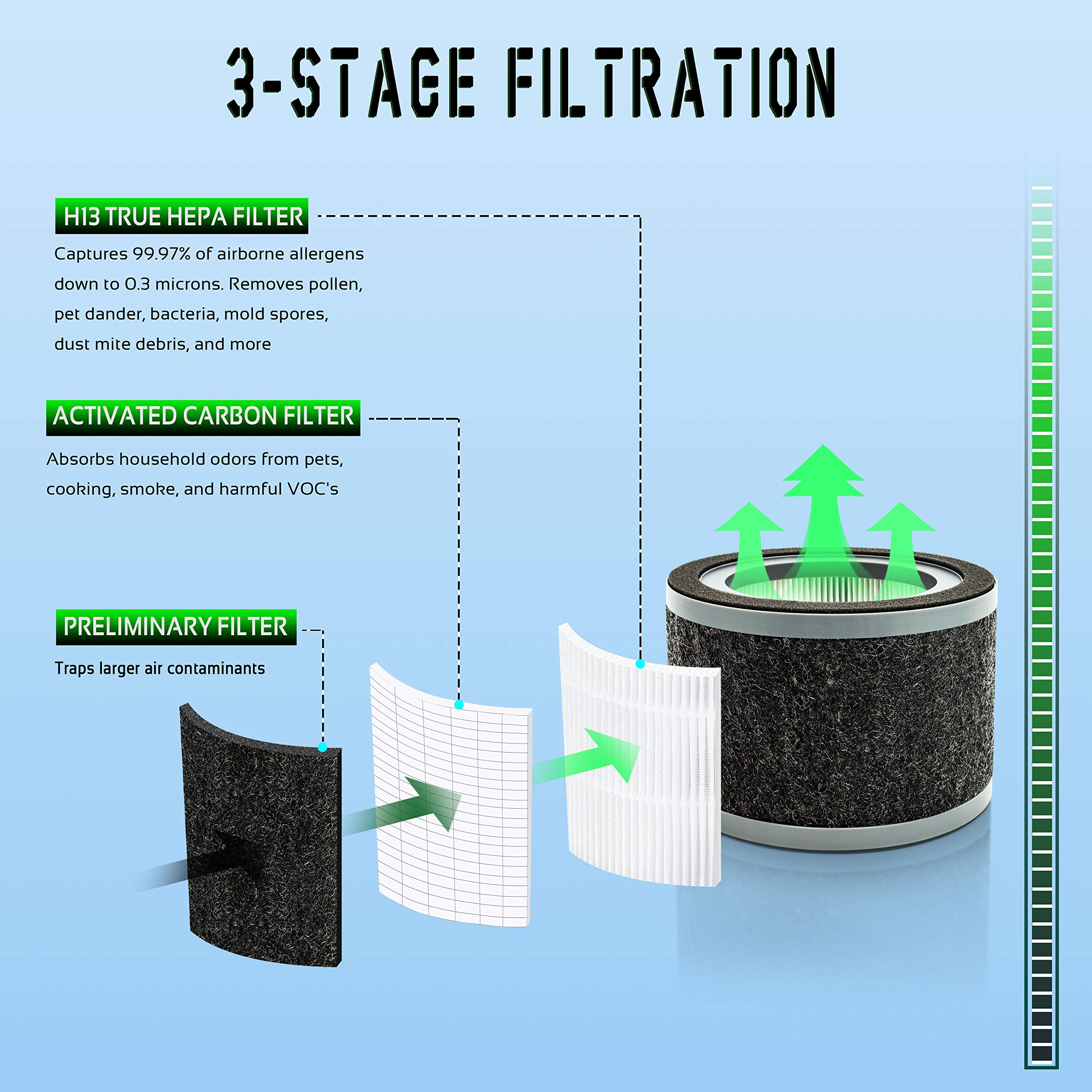 Flintar FLT4200 H13 True HEPA Replacement L Filter, Compatible with GermGuardian Air Purifier Models AC4200 and AC4200W, Filter Size L, Part Number FLT4200, 2-Pack