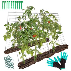 goletio cucumber trellis for raised bed - 35" x 55" garden trellis for climbing plants outdoor - a frame trellis for climbing vegetables with plant support clips and gloves