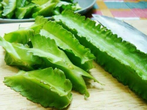 100 Winged Bean Seeds - Đậu Rồng - Aka. Dragon Bean, Four Angled Bean, Cigarillas, Goa Bean, Manila Bean, Princess Bean - Non GMO, Untreated, Heirloom DIY Plant Seedling Garden