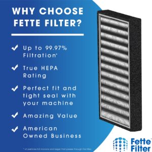 Fette Filter -DSTx HEPA + Carbon Premium Filter Replacement Compatible with Clarifion DSTx Mini Personal Air Purifiers - Pack of 4