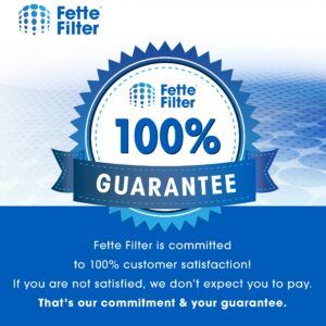 Fette Filter -DSTx HEPA + Carbon Premium Filter Replacement Compatible with Clarifion DSTx Mini Personal Air Purifiers - Pack of 4