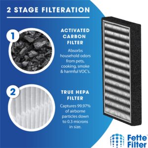 Fette Filter -DSTx HEPA + Carbon Premium Filter Replacement Compatible with Clarifion DSTx Mini Personal Air Purifiers - Pack of 4