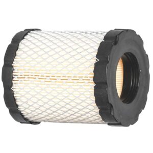 Eopzol 798897 Air Filter Replacement for Briggs & Stratton 794935 44M977 44P977 44Q977 49L977 49M977