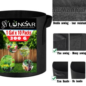 LUNGAR Plant Grow Bags - 5 Gallon 5 Packs Planter Pot, Thickest Aeration 300G Non-Woven Fabric, Reinforced Handles for Weatherproof Nursery Pot, Enhanced Double Seam