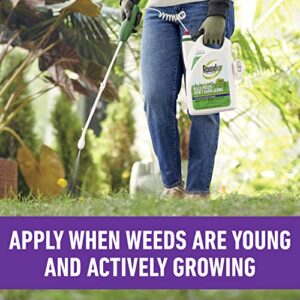 Roundup for Lawns₄ Ready-To-Use (Southern) - All-in-One Weed Killer for Lawns, Extended Reach Wand, 1 gal.