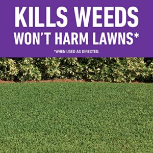 Roundup for Lawns₄ Ready-To-Use (Southern) - All-in-One Weed Killer for Lawns, Extended Reach Wand, 1 gal.