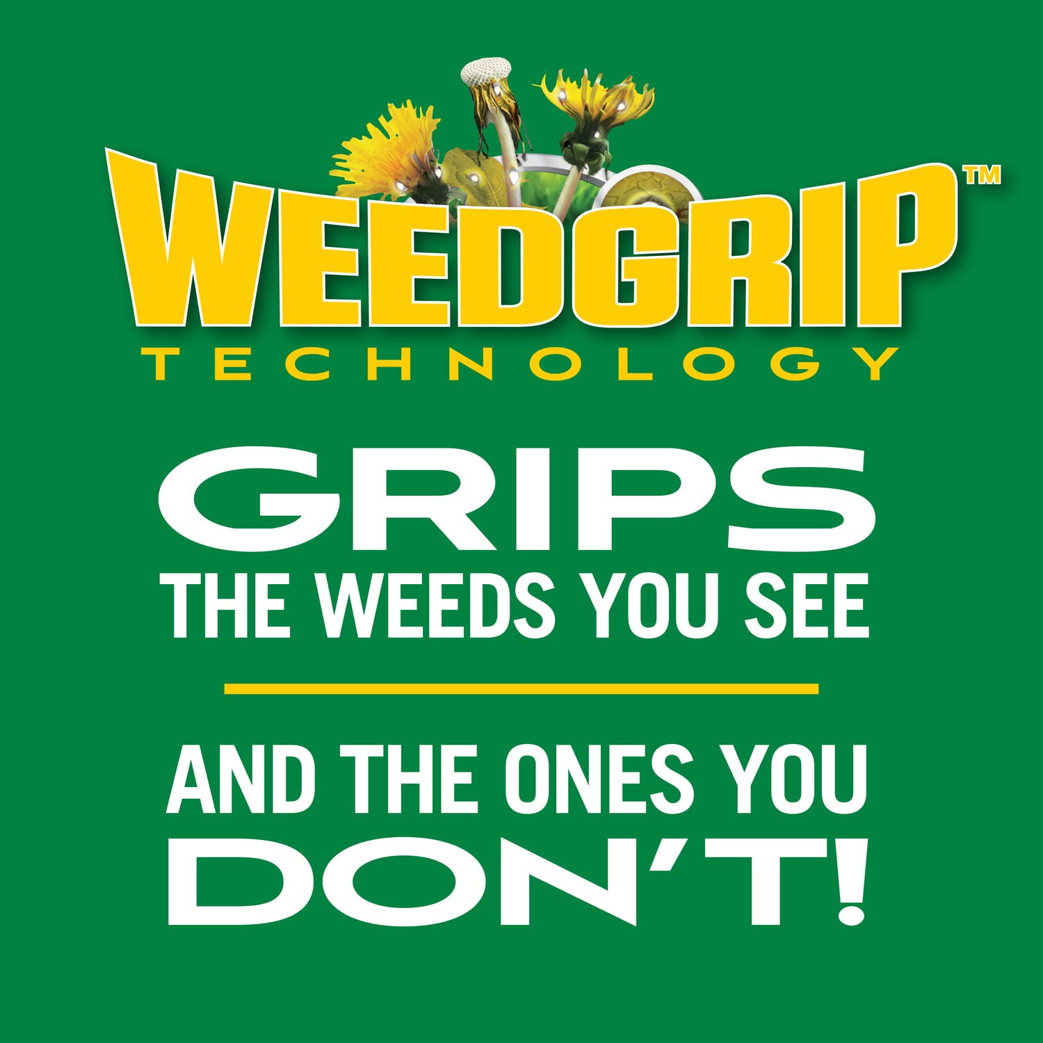 Scotts Turf Builder Weed & Feed5, Weed Killer and Lawn Fertilizer, Controls Dandelion Clover and More, 12,000 sq. ft, 33.95 lbs.