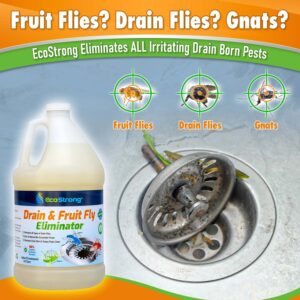 Fruit Fly Drain Treatment | Drain Fly Eliminator | All-Natural, Eliminates Gnats, Sewer Flies and More - Works in All Drains - 1 Gallon