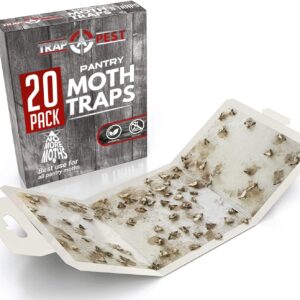 20 Pack Pantry Moth Traps - Safe and Effective for Food and Cupboard - Glue Traps with Pheromones for Pantry Moths - Trap a Pest