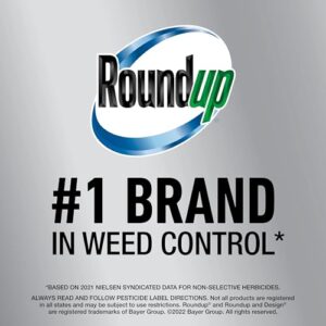 Roundup Dual Action Weed & Grass Killer Plus 4 Month Preventer with Sure Shot Wand, 1 gal.