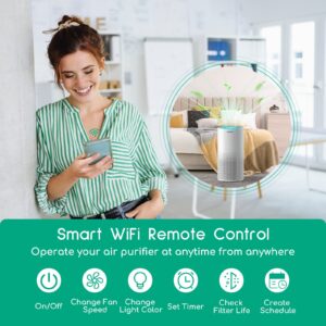 Afloia Air Purifiers, Normal and Smart WiFi Air Purifiers for Home Large Room