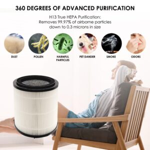 Flintar H13 True HEPA Replacement Filter, Compatible with SilverOnyx 5-Speed Air Purifier KJ150F-C02, 3-in-1 H13 Grade True HEPA filter, For Large Room 500 sq ft, 2-Pack