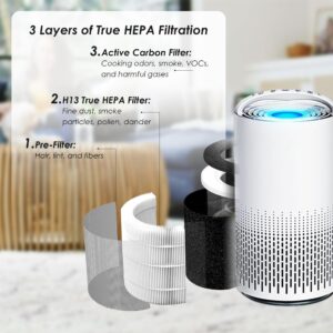 Flintar VK-6067B True HEPA Replacement Filters, Compatible with Vremi and HOKEKI VK-6067B Air Purifier, 3-in-1 H13 Grade True HEPA and Activated Carbon Filter Set (2 - Pack)