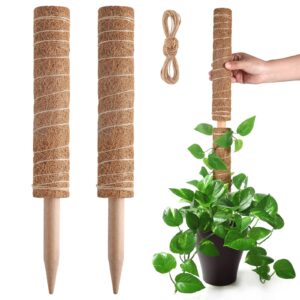 pisol moss pole for plants monstera, extendable plant sticks support, plant stakes for indoor potted plant, 15.7'' coco coir pole plant trellis for sphagnum, pothos and other climbing plants(2 pcs)