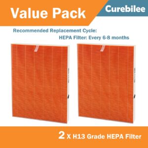 116131 True HEPA Replacement Filter I Compatible with Winix C555 Air Cleaner Purifier, H13 Grade True HEPA Filter Only, Compares to Winix 116131 Filter I (2 Pack)