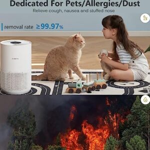 Xiaomi 4 Compact Filter Replacement for Air Purifier, 3-In-1 True HEPA H13, 6-12 Months Life, High-Efficiency Activiated Carbon for Home Bedroom Pets Dust Allerigies