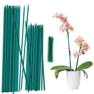 supking plant stakes,17&12 inch wood plant sticks 30 pack orchid stake sturdy green bamboo plant support stake gardening floral potted plant support