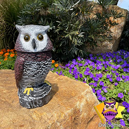 Owlsome Solar Red Owl with Flashing Eyes, Rotating Head, Hooting, Motion Detector and Silent Mode, Plastic Owl Garden Sculpture, Garden Decoration