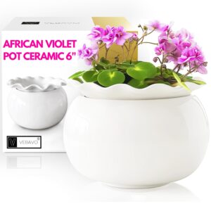 african violet pots 6 inches ceramic, effortless self watering pots for indoor plants for busy plant lovers, easy plant self watering pot, plant pots, flower pot, plant pots indoor