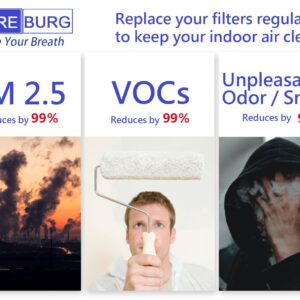 PUREBURG Replacement Filter can be fitted to Molekule Air Mini & Air Mini + Air Purifiers,2-Pack Air Clean Dust VOC Odor PM2.5 Smoke