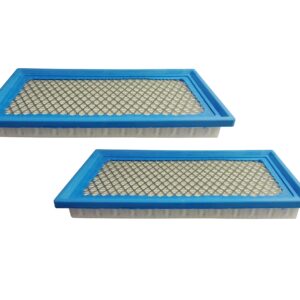 C·T·S Air Filter 2pcs for B&S 9HP - 13 HP Single Cylinder Vanguard 185430 Replaces BS 710266 (Pack of 2)