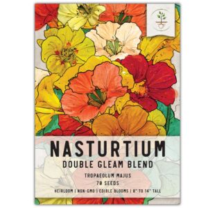 seed needs, double gleam nasturtium seeds - 70 heirloom seeds for planting tropaeolum majus - edible flowers to add to salads, grow in a butterfly garden to attract poillinators (1 pack)