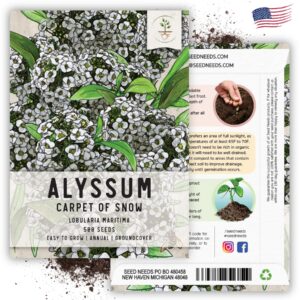 Seed Needs, Heirloom Alyssum Flower Seed Packet Collection Variety Pack (Includes 3 Packs) Basket of Gold, Royal Carpet & Carpet of Snow